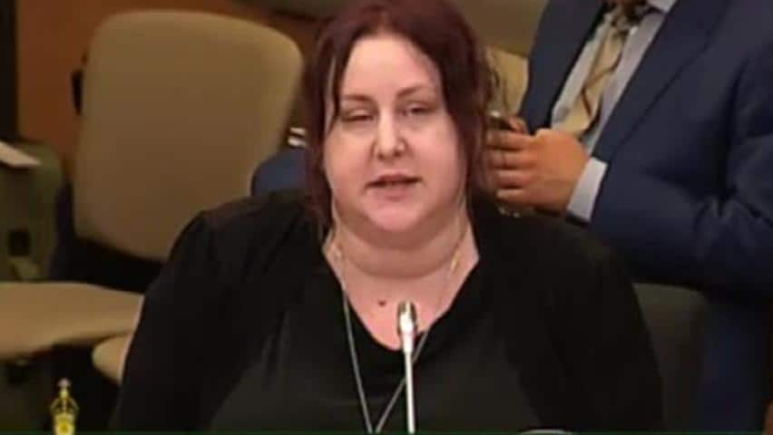 Prostitution Bill Likely Unconstitutional Mps Told On Day 3 Of Hearings