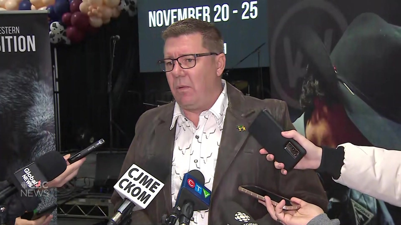 Premier Calls Sask Party Mla Allegedly Soliciting Sexual Services